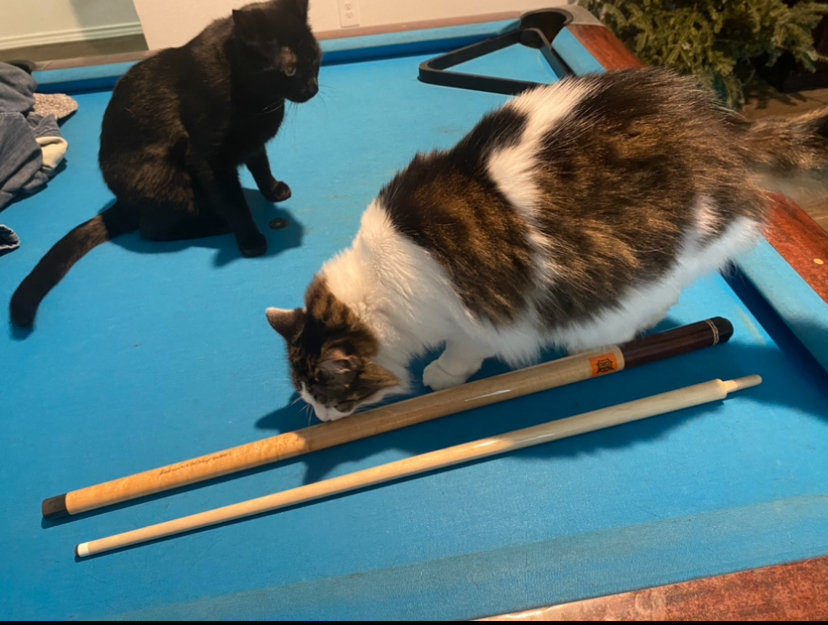 Confirmed | AzBilliards Forums